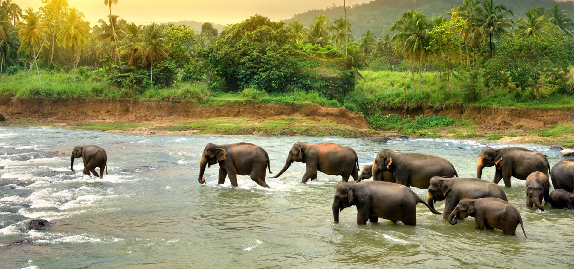 Activities - Gardenia Tours