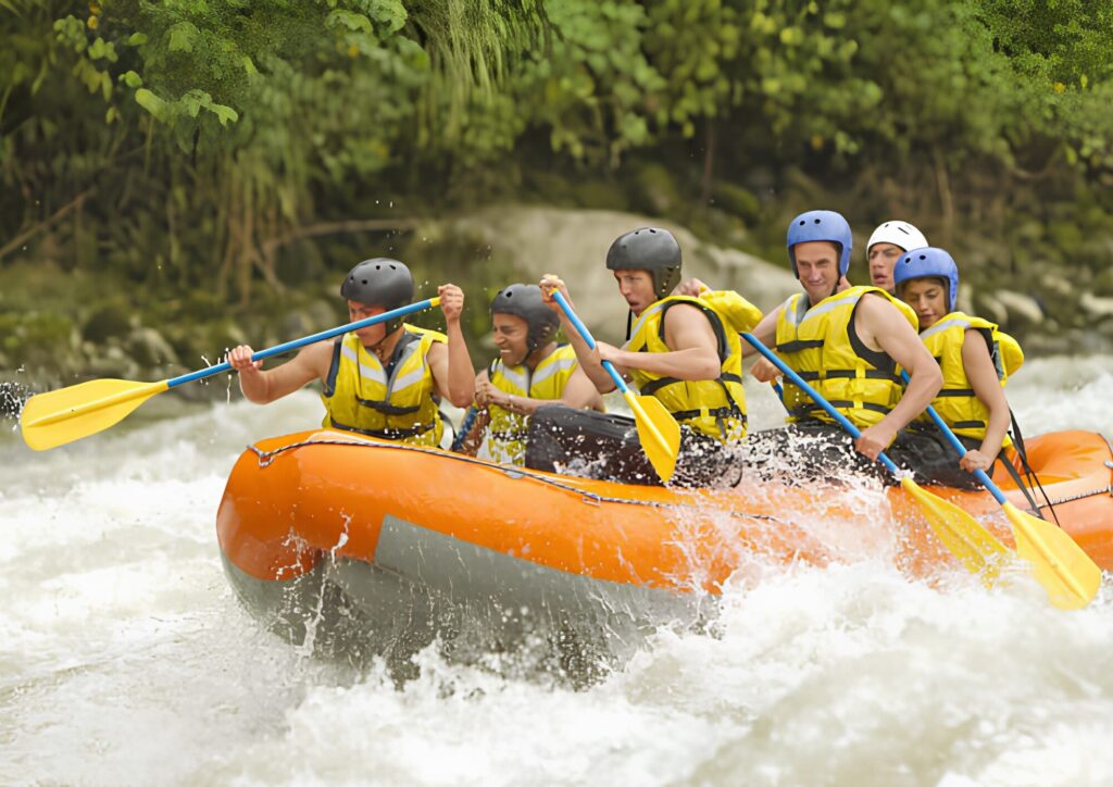 Activities - Gardenia Tours